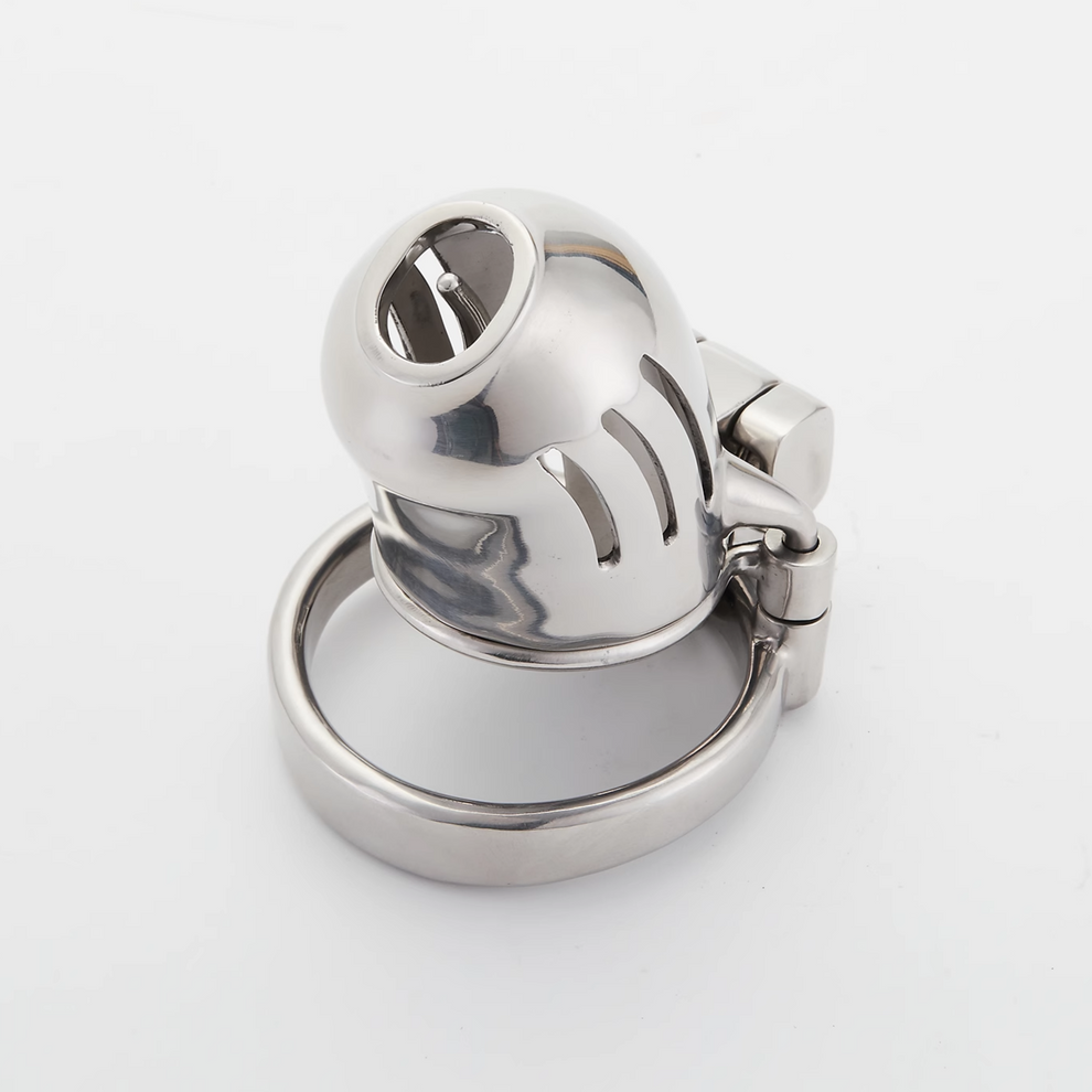 All-Steel Custom PA Chastity Cage – chastitybelt